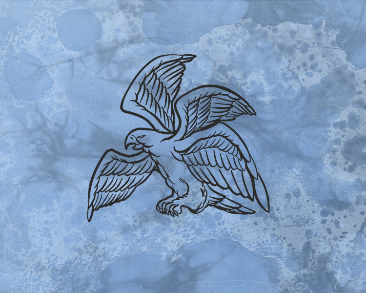 Bluebird Apparel